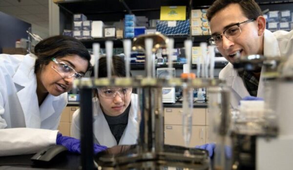 Accelerating Scientific Discoveries: AI Conducts Autonomous Experiments